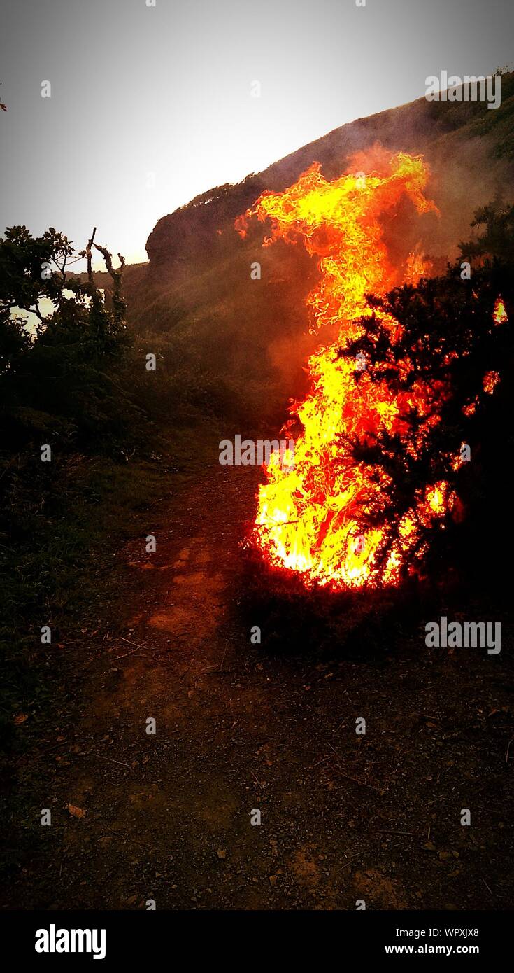 Hill fire hi-res stock photography and images - Alamy
