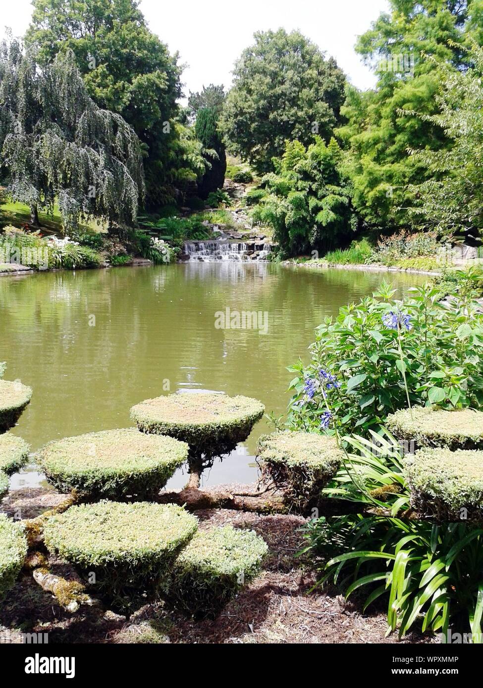 Botanical parc hi-res stock photography and images - Alamy