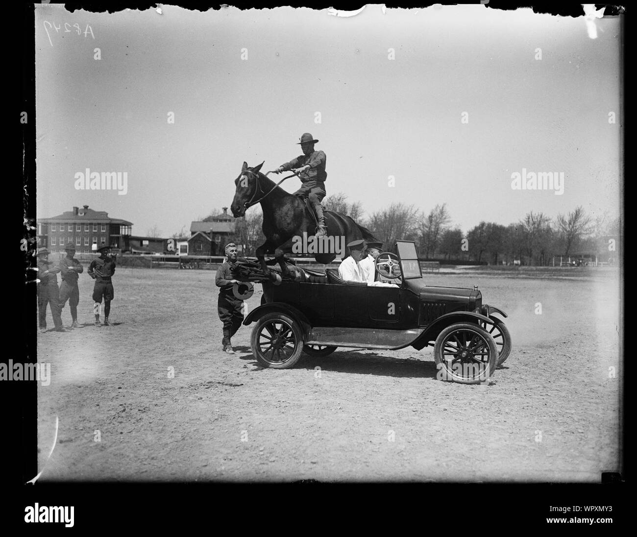 Man on horse jumping over automobile Stock Photo - Alamy