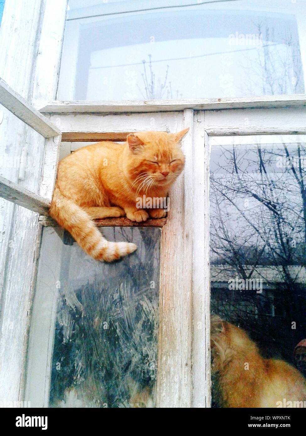 In glass window hi-res stock photography and images - Alamy