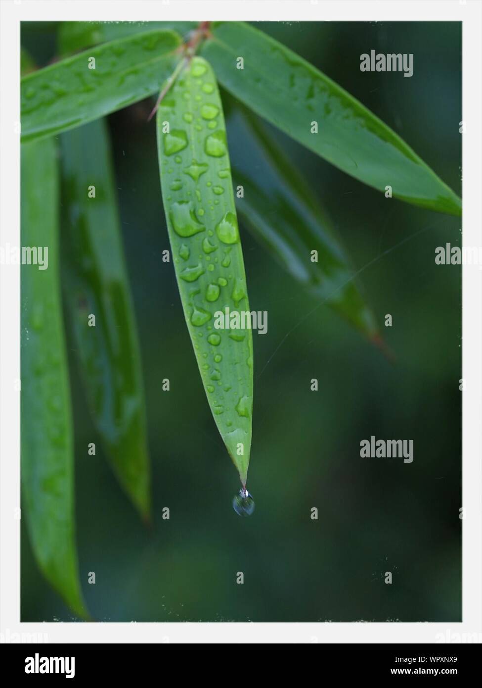 Edge of drop hi-res stock photography and images - Alamy