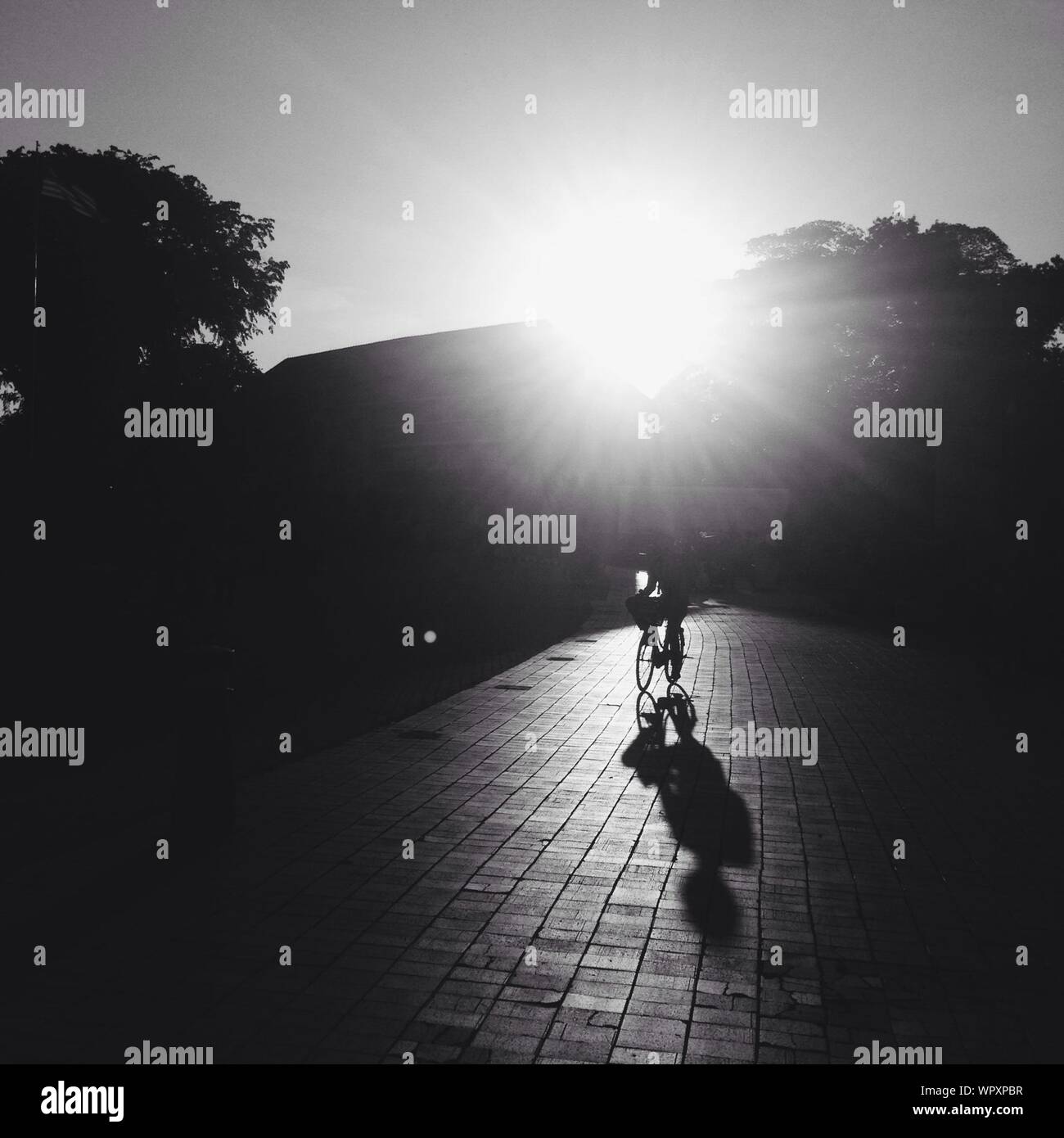 Pavement cyclist hi-res stock photography and images - Alamy