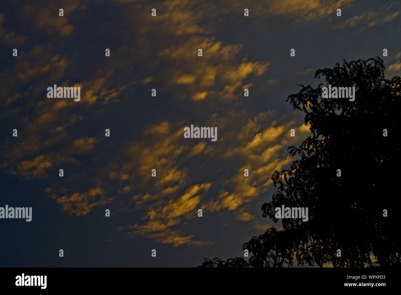 Fluffy Clouds at Sunset, Canyon, Texas Stock Photo - Alamy