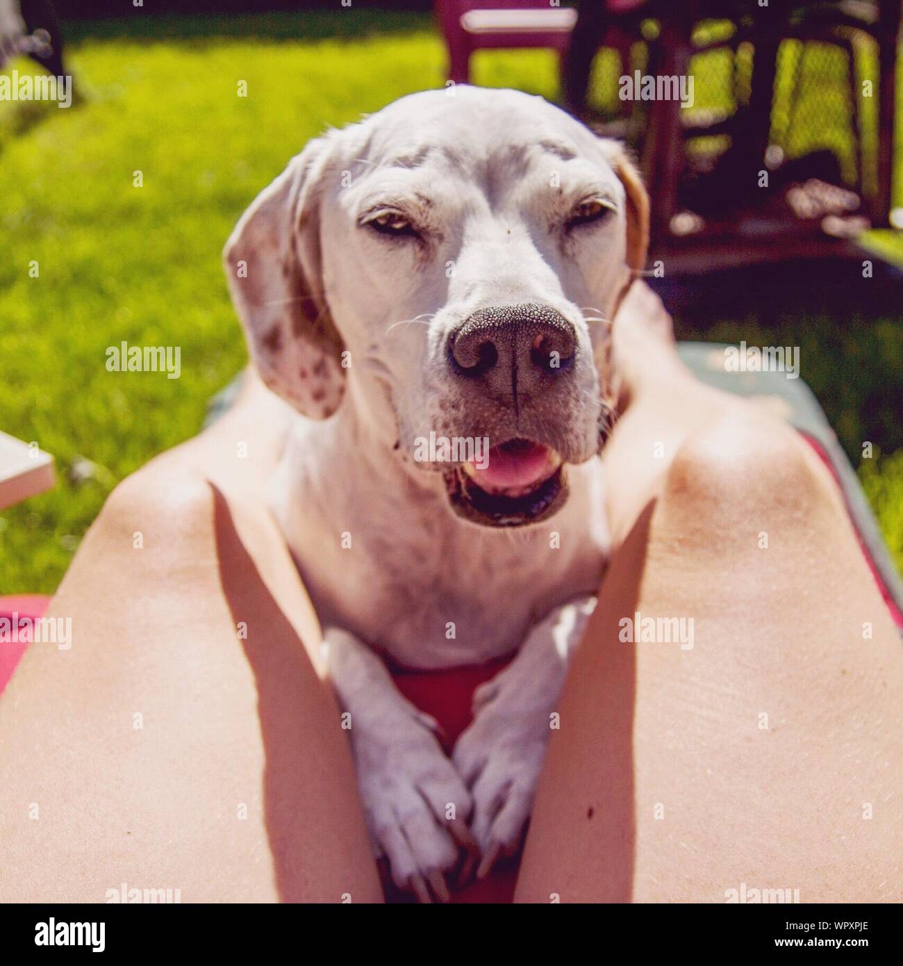 In between legs hi-res stock photography and images - Alamy