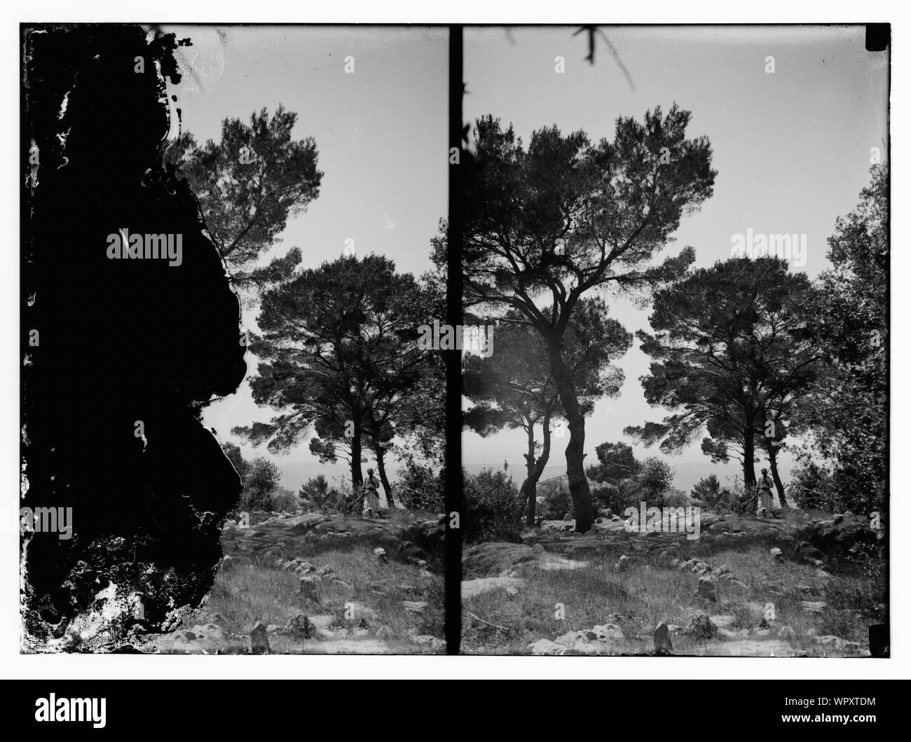 Man standing next to tree Stock Photo - Alamy