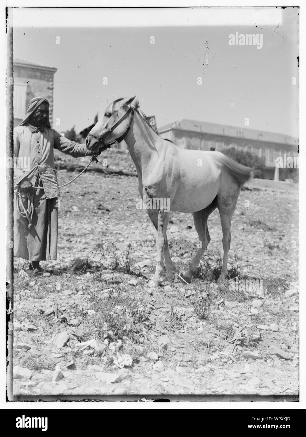 Man near horse in Black and White Stock Photos & Images - Alamy
