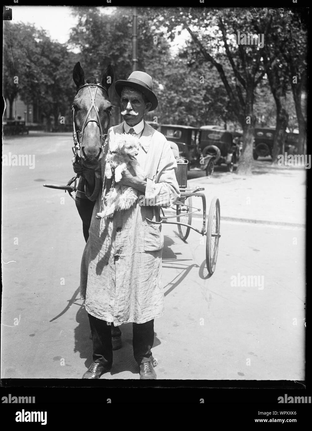 Man with horse and cart, and dog] Stock Photo - Alamy