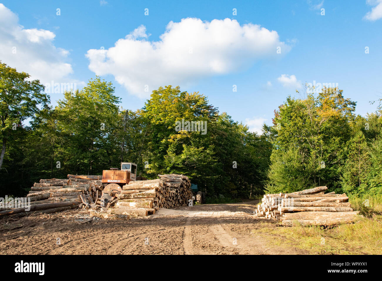 A logging operation with machinery and cut logs in the wilderness of ...