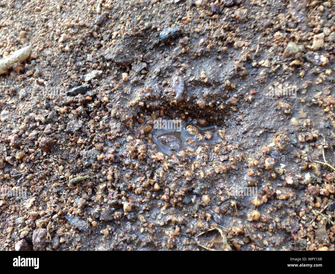 Mud puddle rain hi-res stock photography and images - Alamy