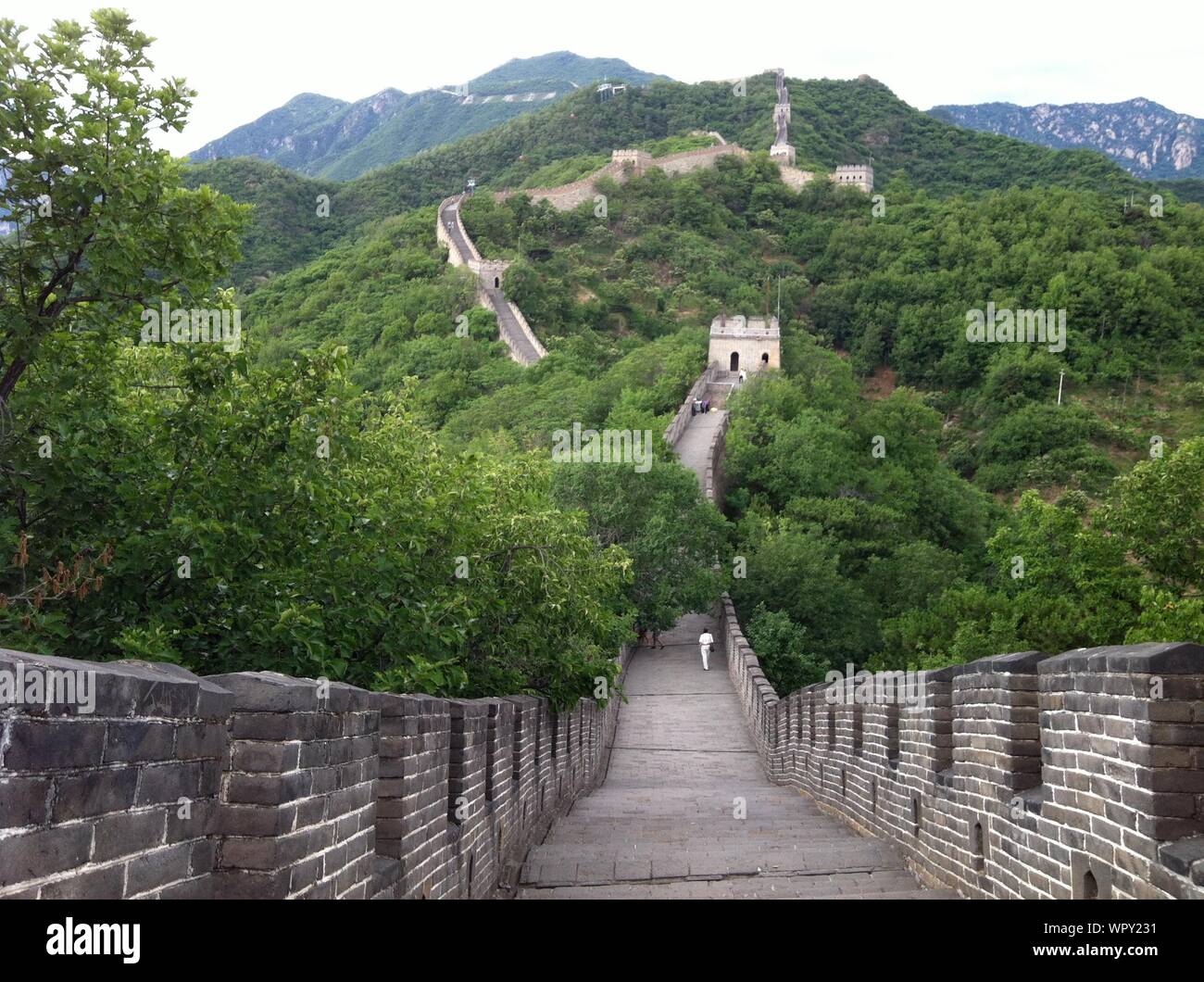 Great Wall Of China Amidst Trees Stock Photo - Alamy