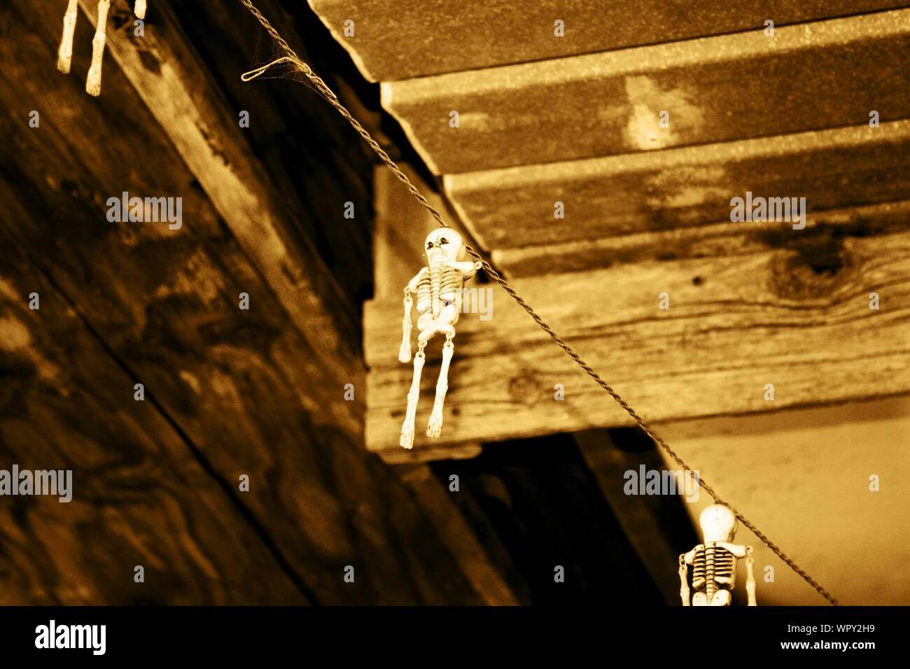 Old Human Skeletons High Resolution Stock Photography and Images - Alamy