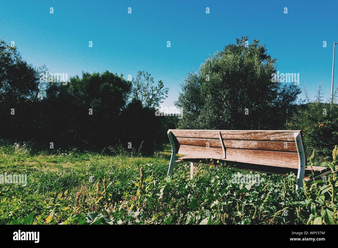Bench in meadow hi-res stock photography and images - Alamy