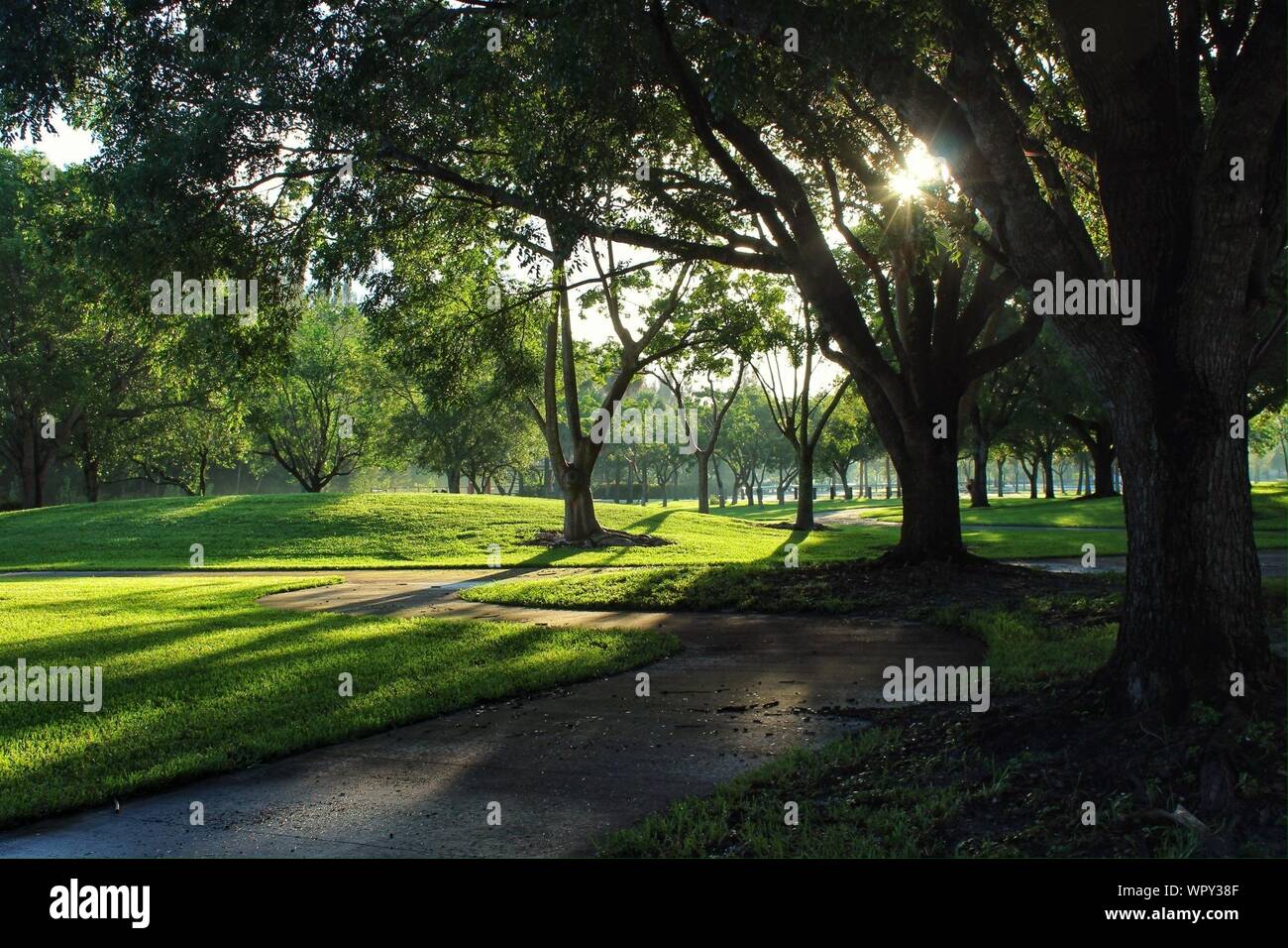 Empty garden hi-res stock photography and images - Alamy
