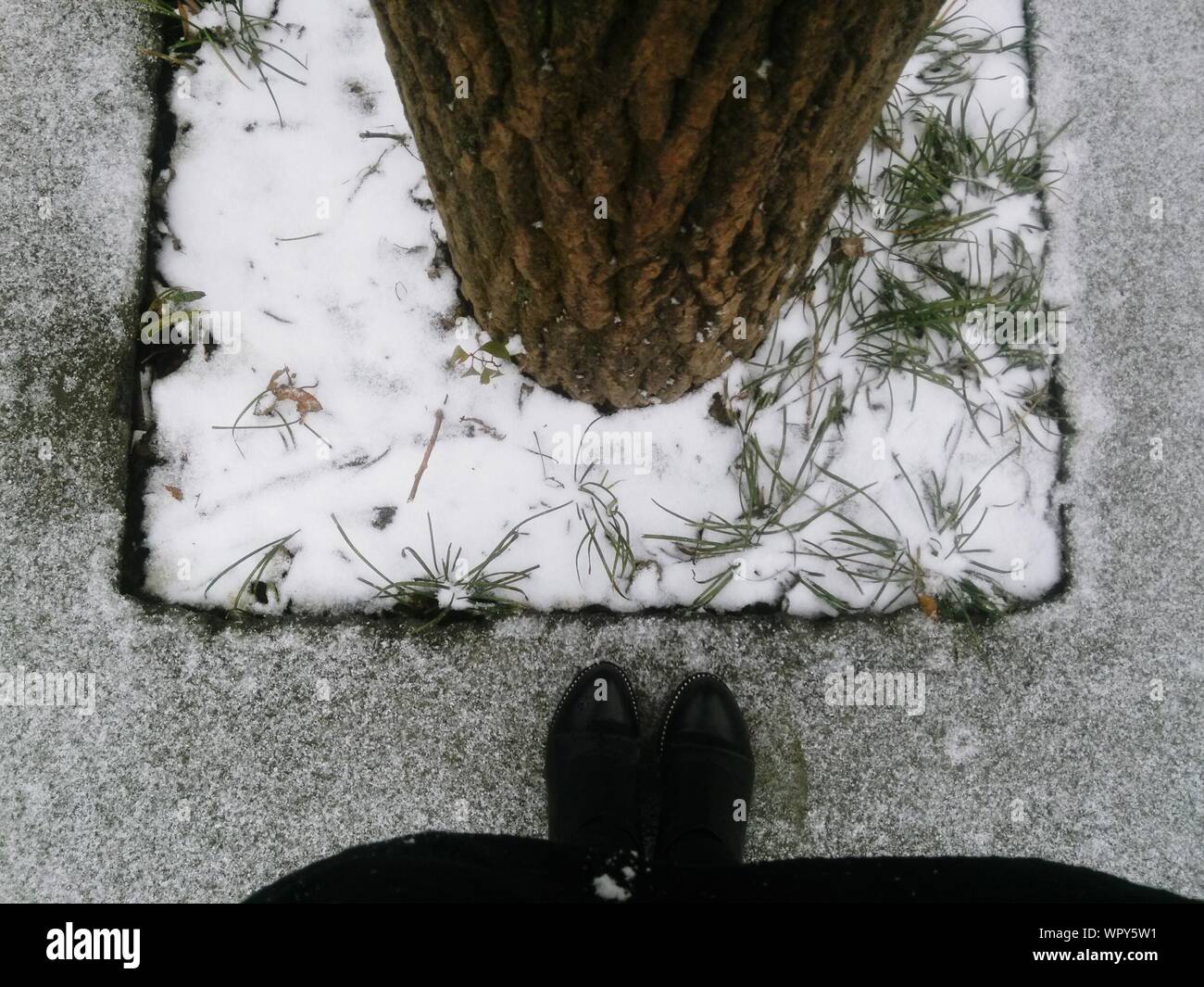 Tree feet hi-res stock photography and images - Alamy