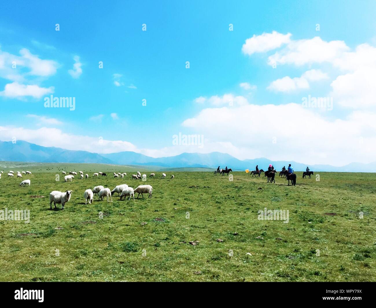 Person riding on horseback away hi-res stock photography and images - Alamy