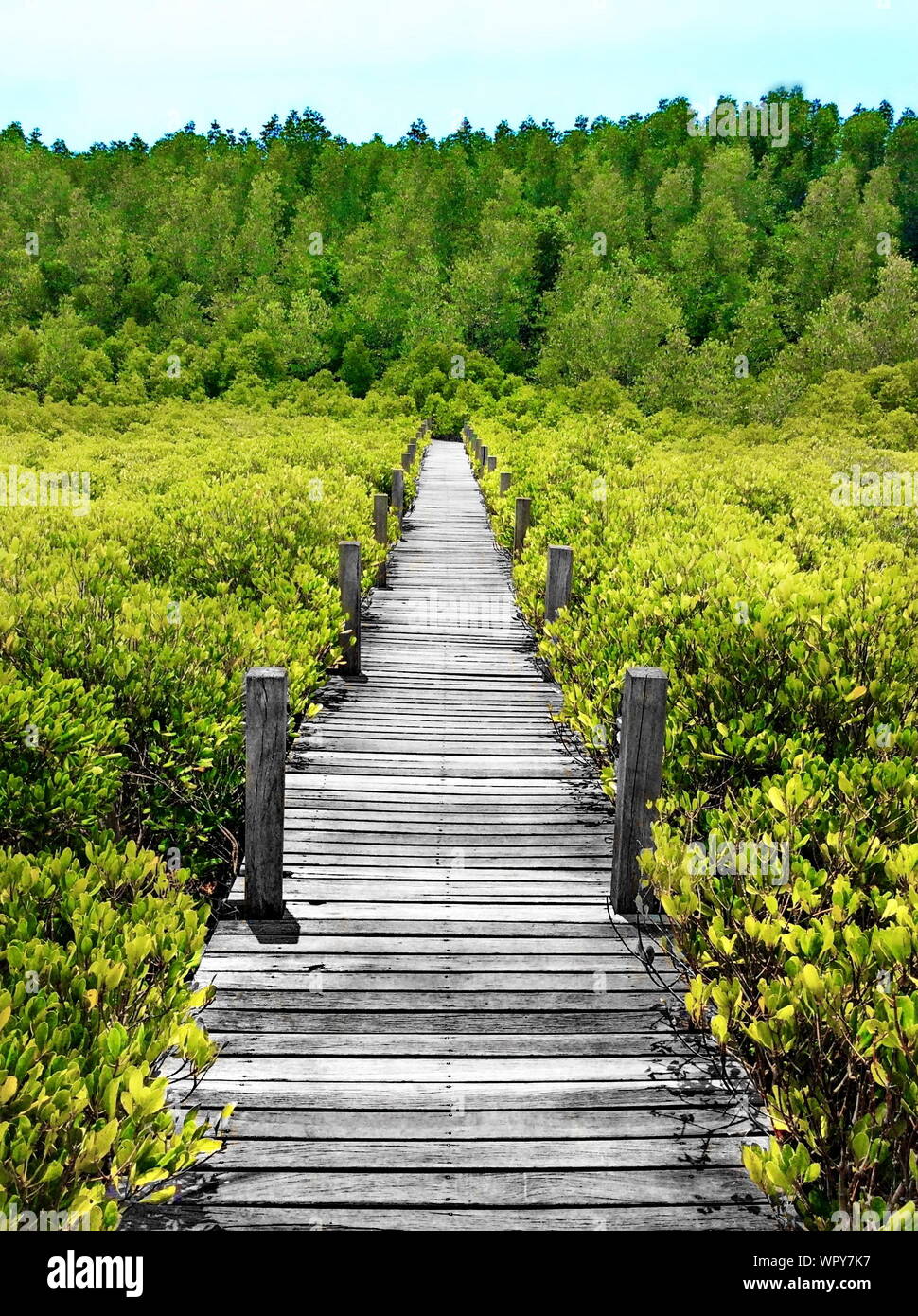 Narrow fields hi-res stock photography and images - Alamy