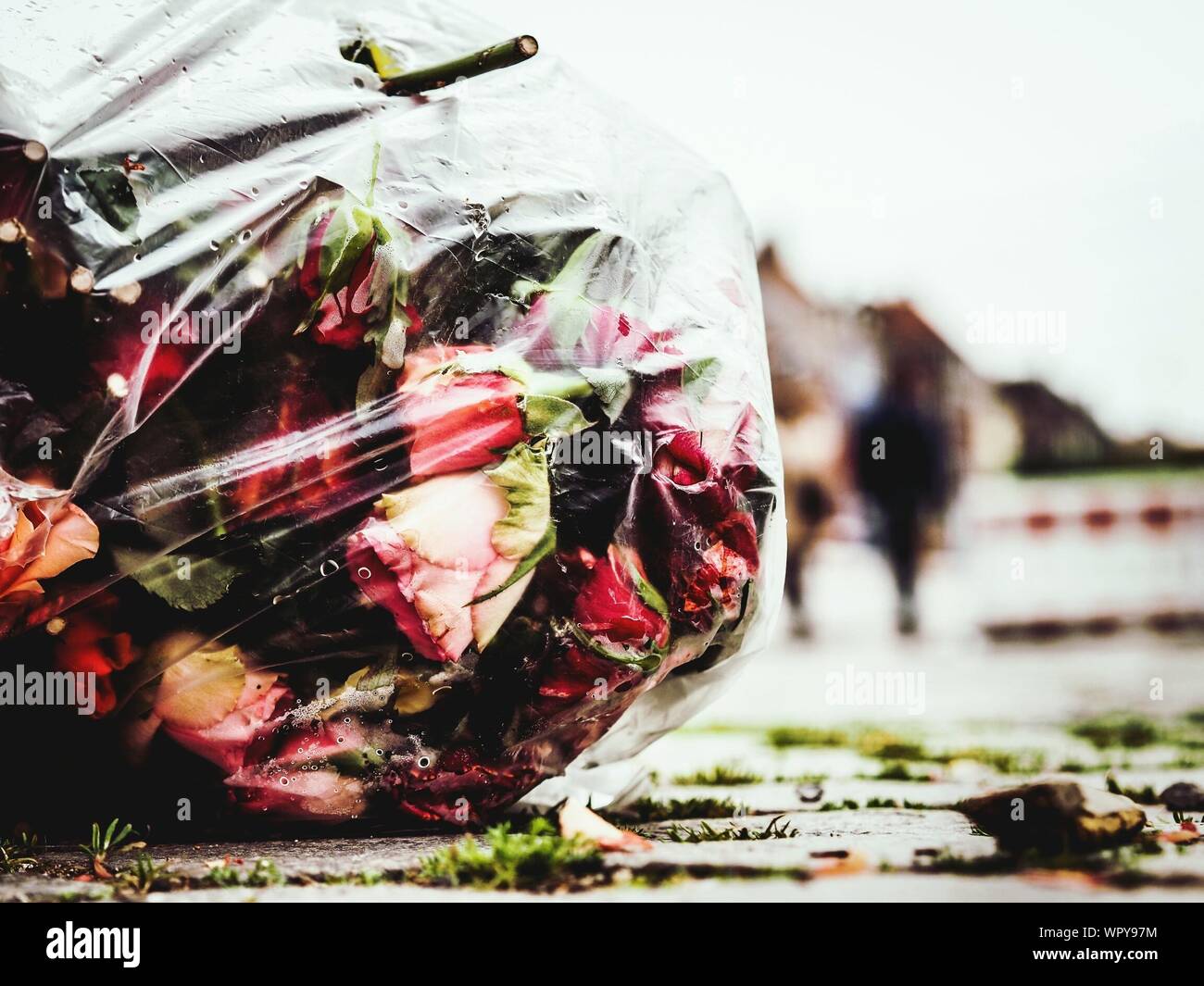 Garbage flower hi-res stock photography and images - Alamy