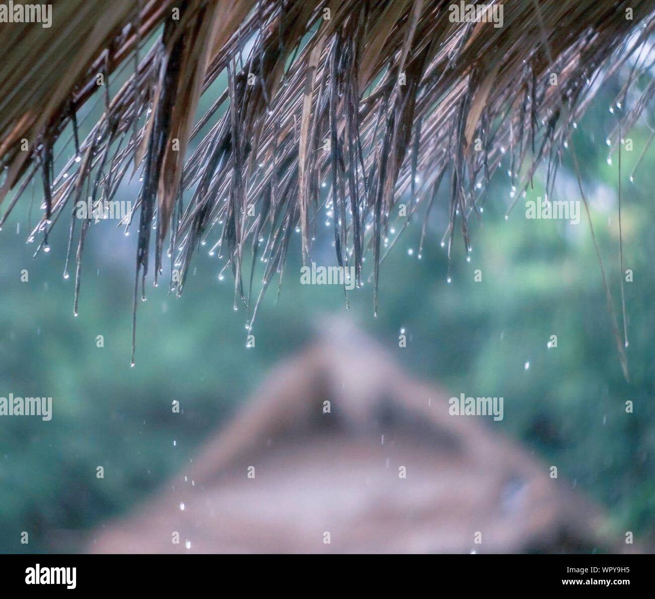 Falling from roof hi-res stock photography and images - Alamy