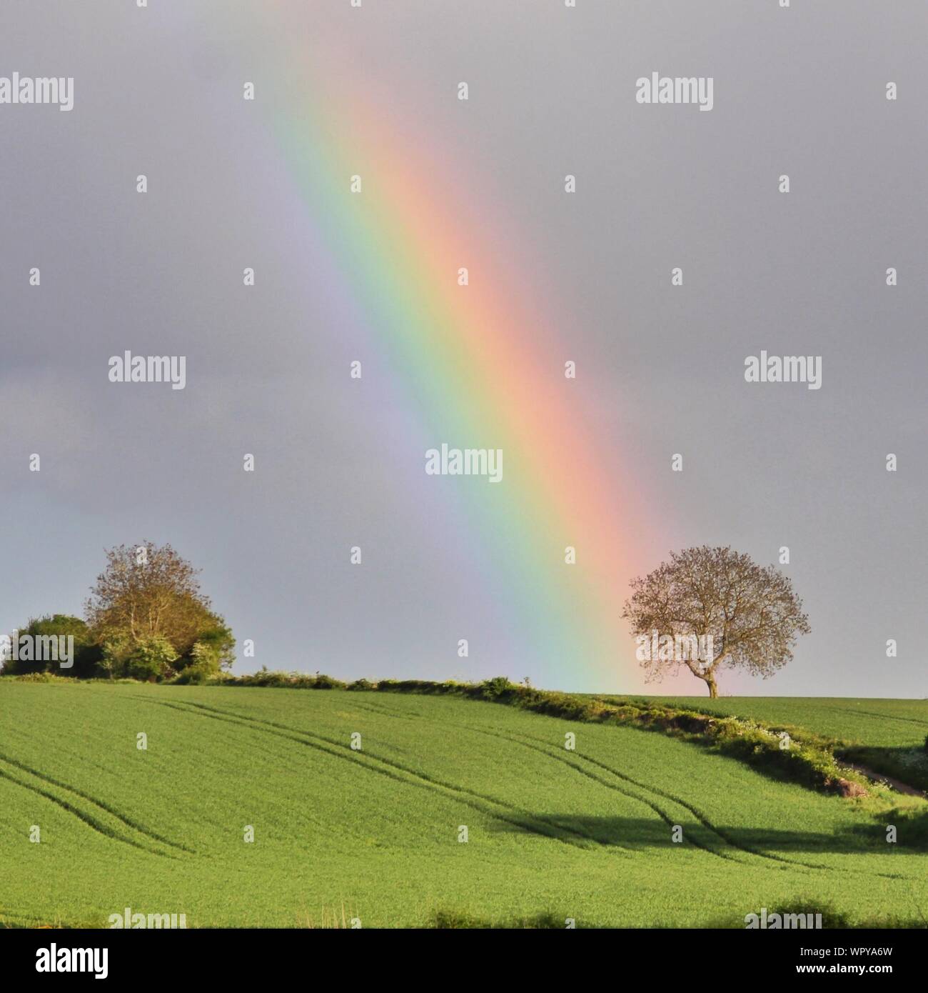 Rainbow scene hi-res stock photography and images - Alamy
