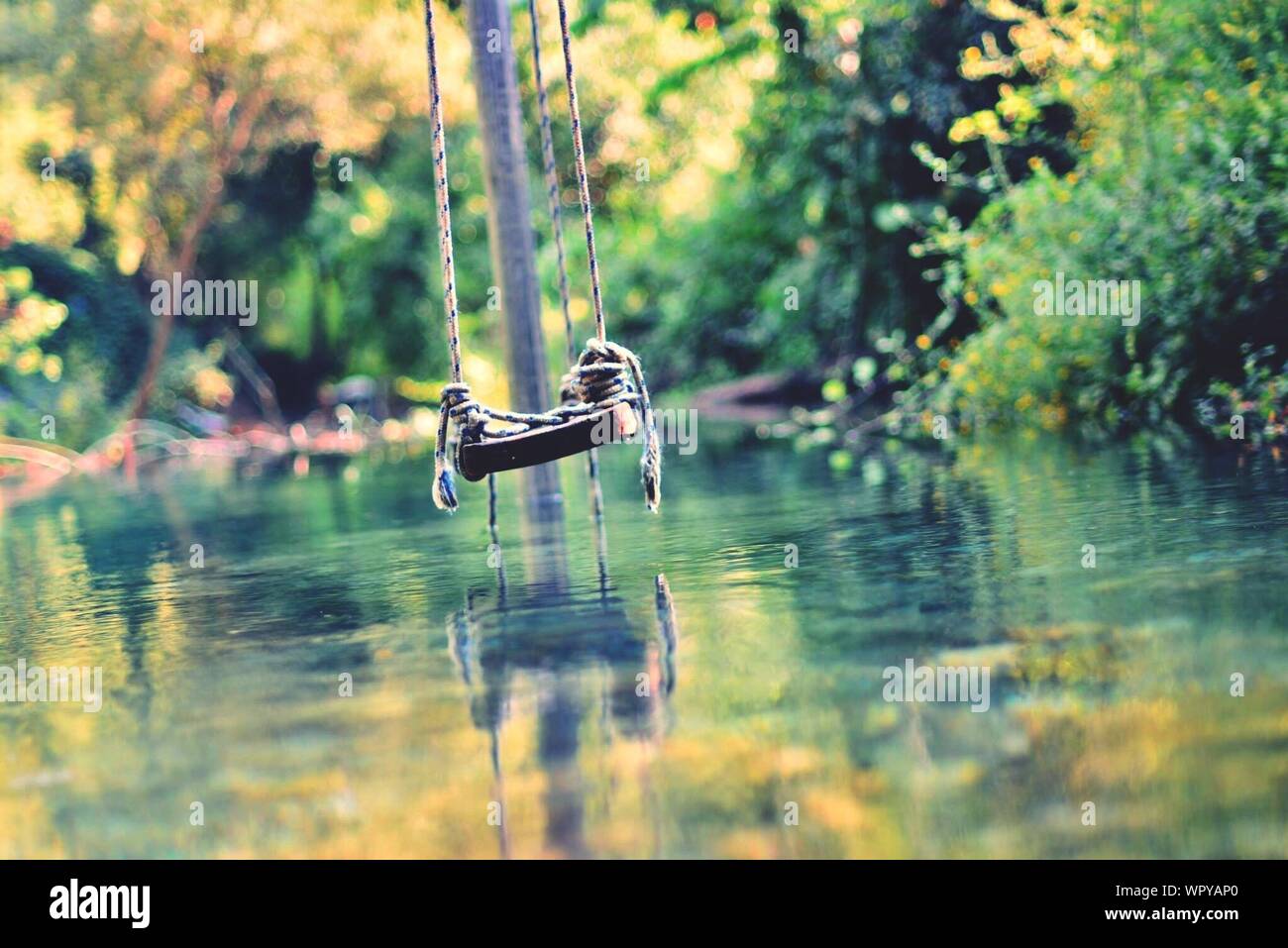 Tree Over Water Rope Swing High Resolution Stock Photography and Images ...