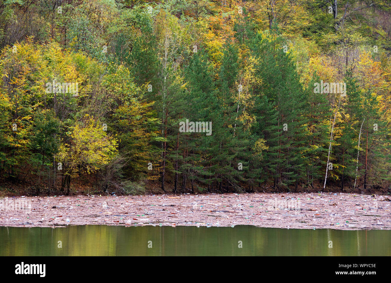 Pine trees at lake hi-res stock photography and images - Alamy