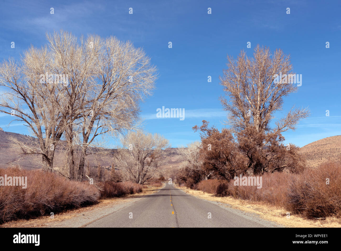 Manzanar War Relocation Center, California Stock Photo - Alamy