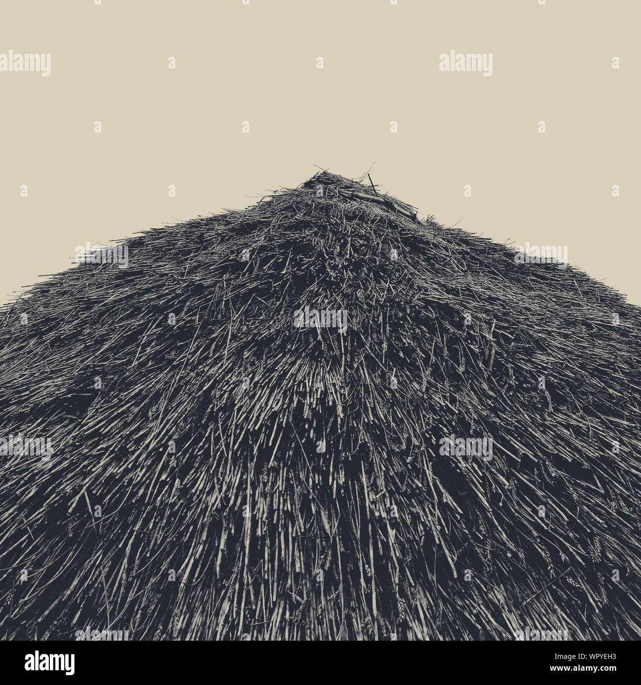 High building roof High Resolution Stock Photography and Images - Alamy