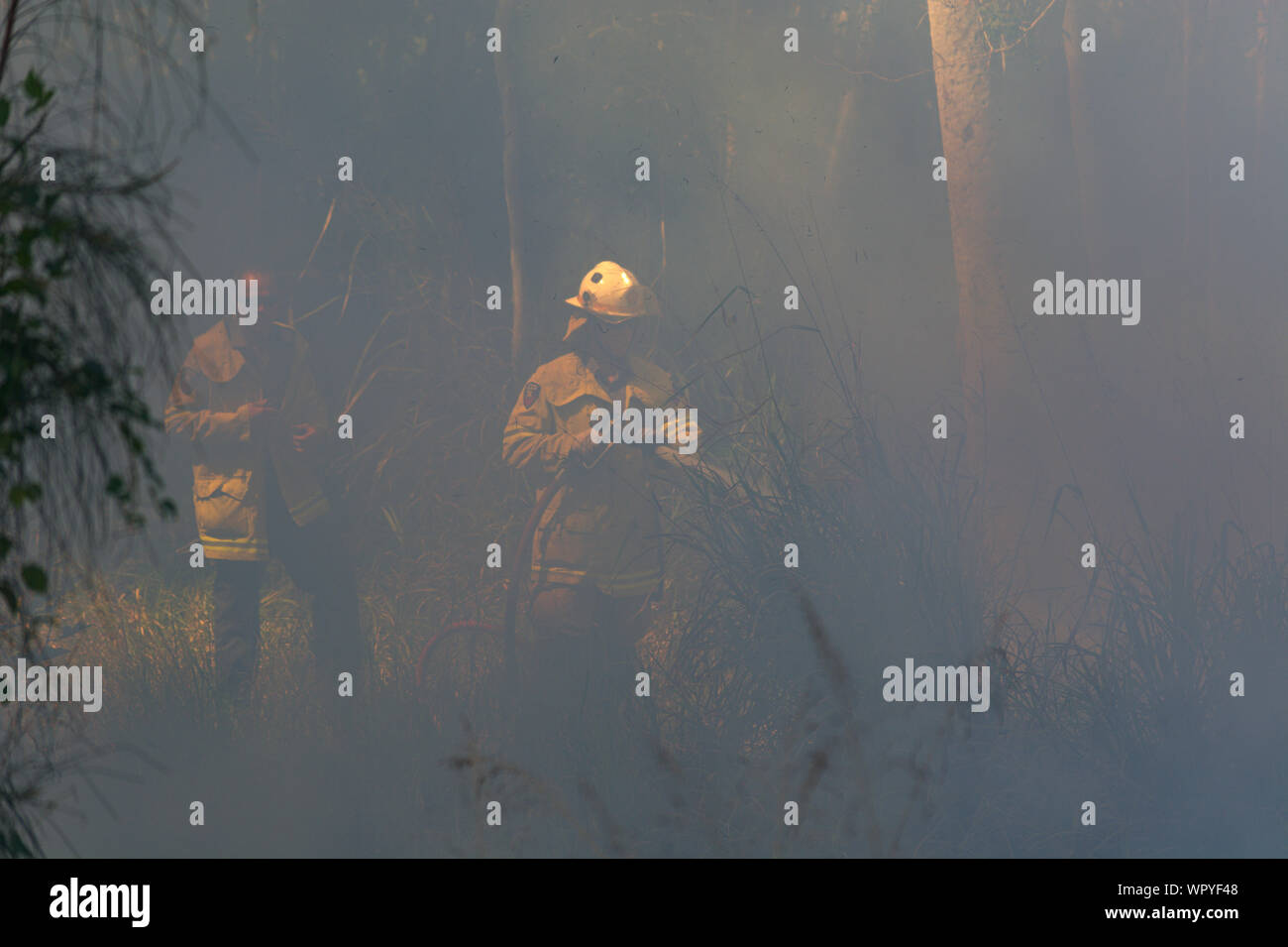 Australian forest fire fighters hi-res stock photography and images - Alamy