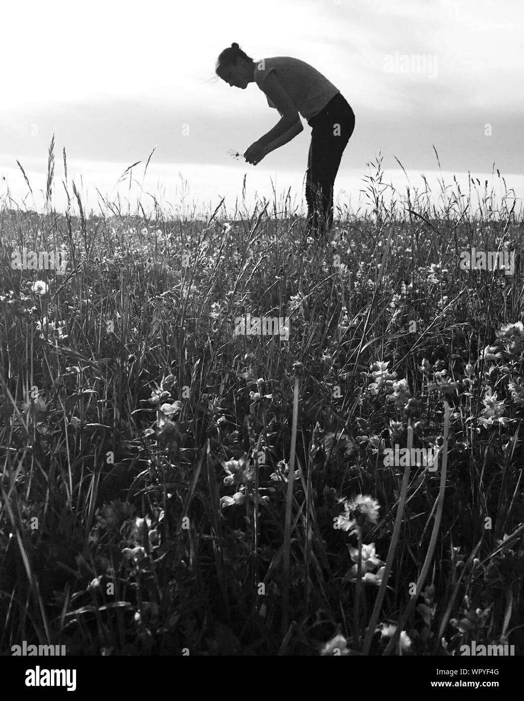 Bending plant Black and White Stock Photos & Images - Alamy