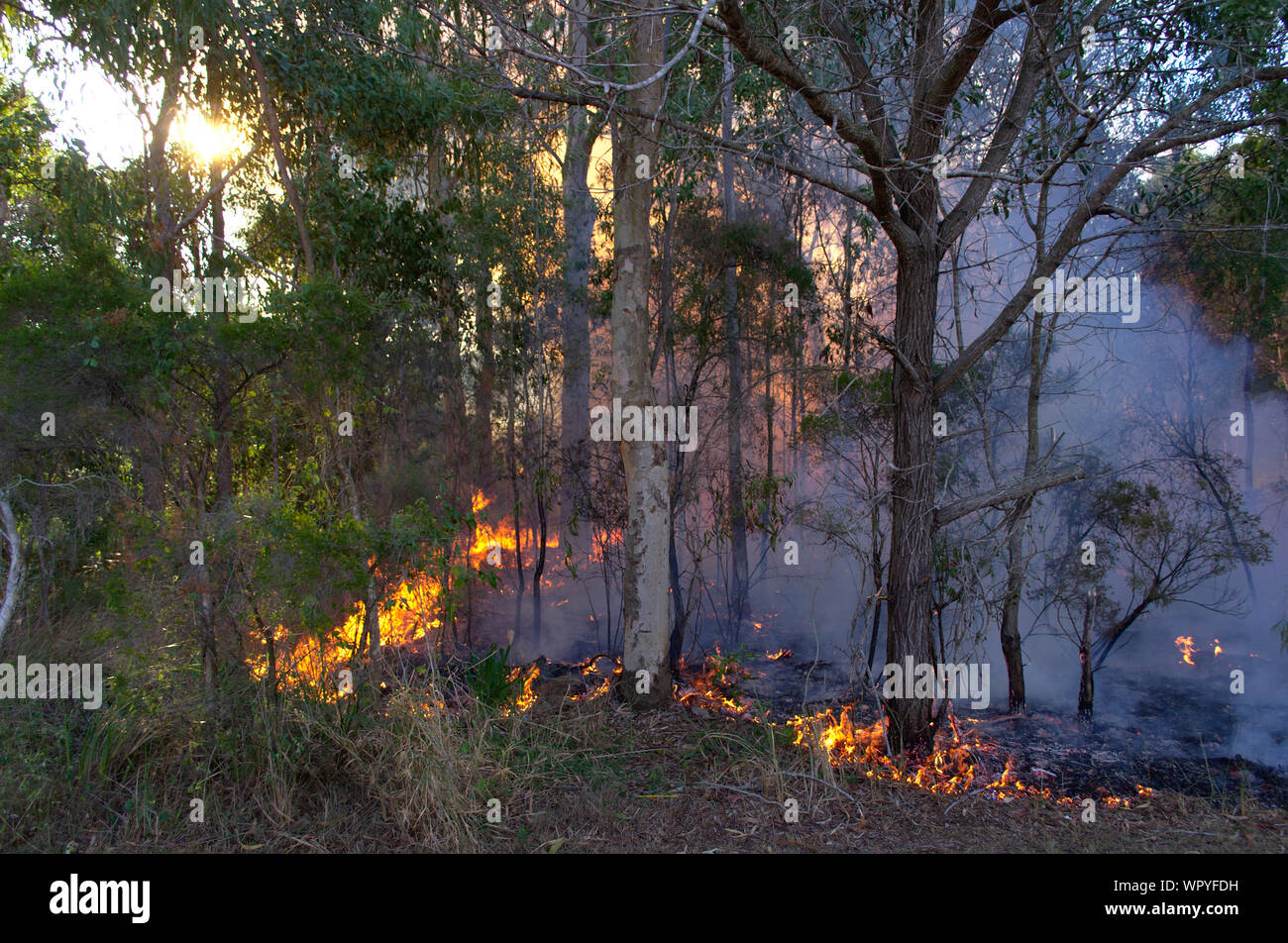 Australian bushfire bushfires hi-res stock photography and images - Alamy