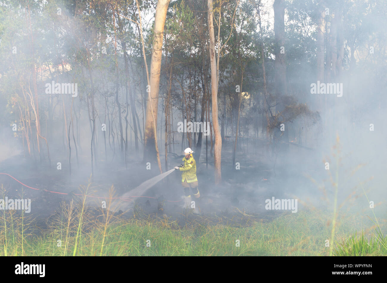 Fire fighters fighting a forest fire Stock Photo - Alamy