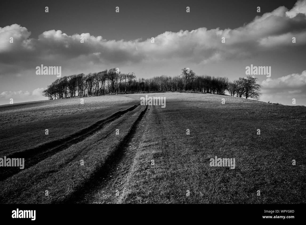 Tracks and fields hi-res stock photography and images - Alamy