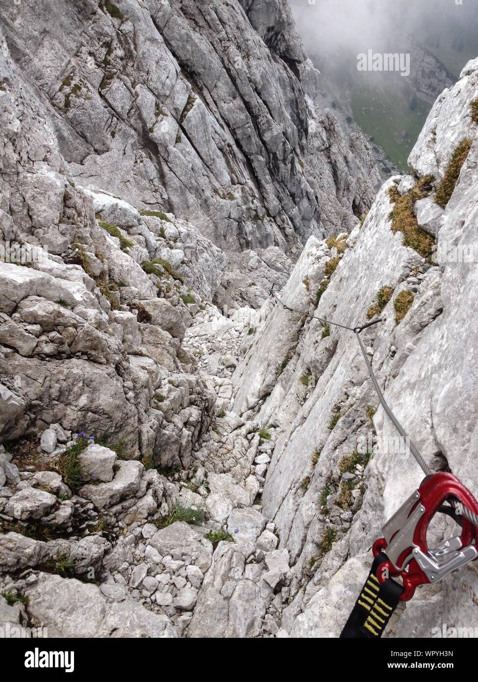 Alpine rock vegetation alpine rock vegetation hi-res stock photography ...