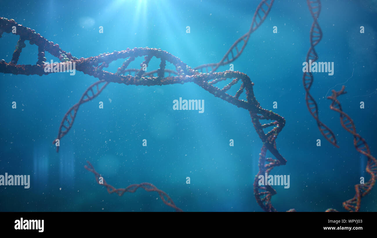 DNA molecule, double helix floating in water (3d science rendering ...