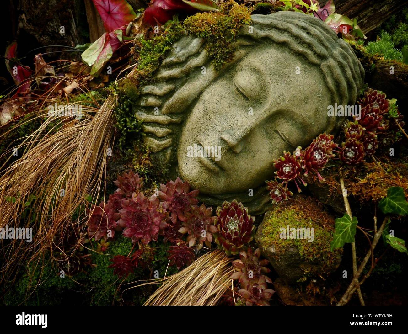 Moss Covered Sculpture Stock Photos & Moss Covered Sculpture Stock ...