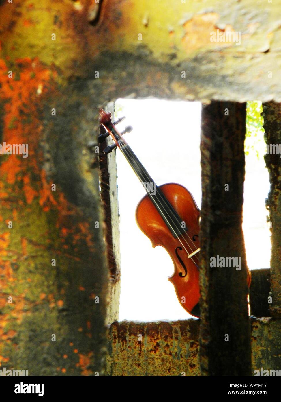 Structure of violin hi-res stock photography and images - Alamy