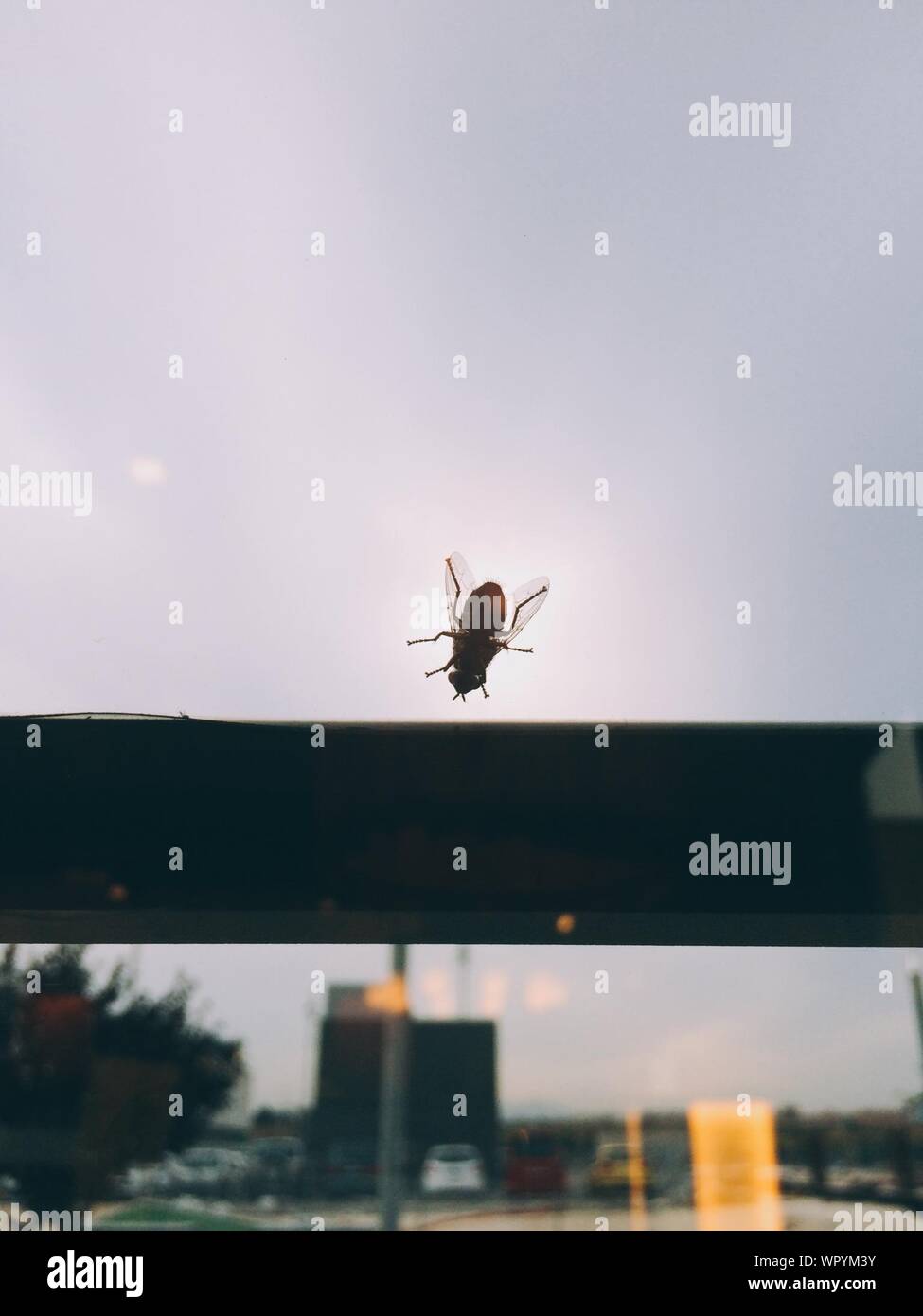 Sitting on glass hi-res stock photography and images - Alamy