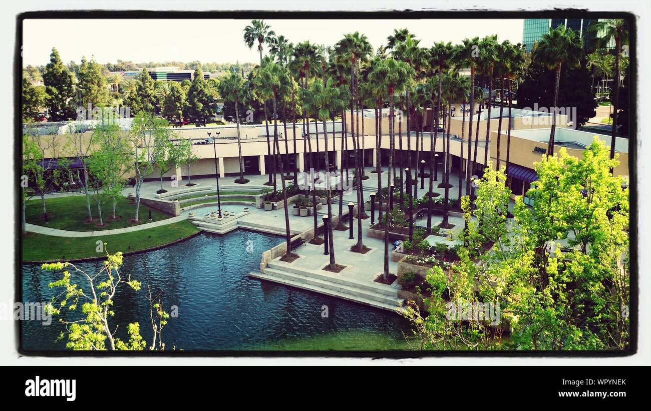 Courtyard with palm tree hi-res stock photography and images - Alamy