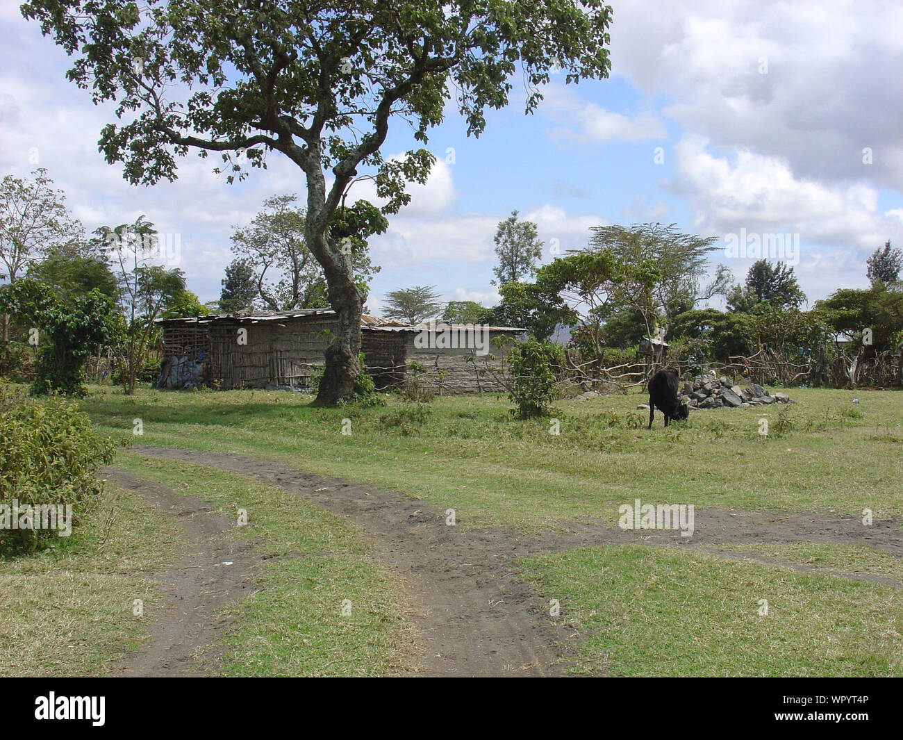 Building farm track hi-res stock photography and images - Alamy