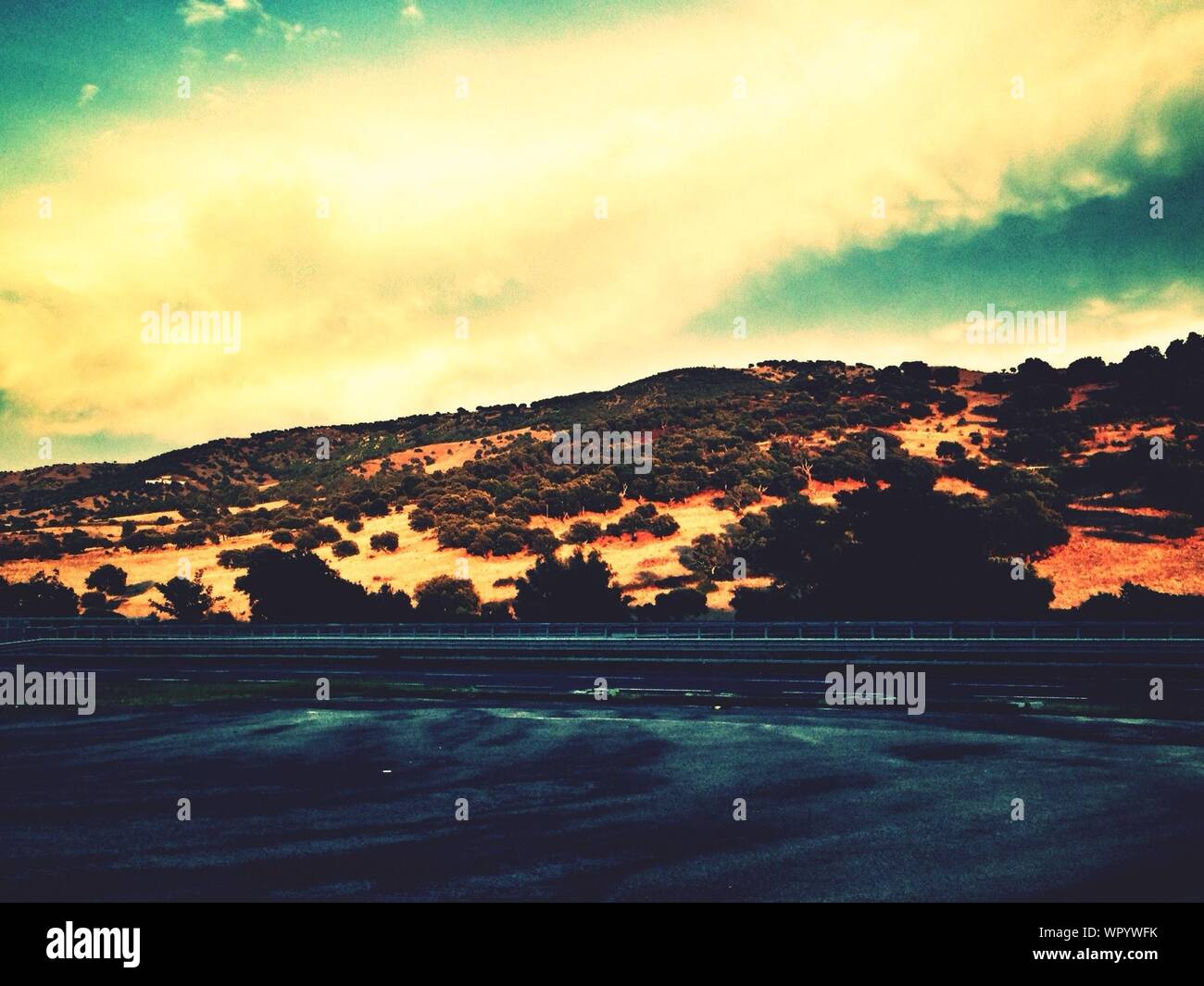 Wooded country road hi-res stock photography and images - Alamy