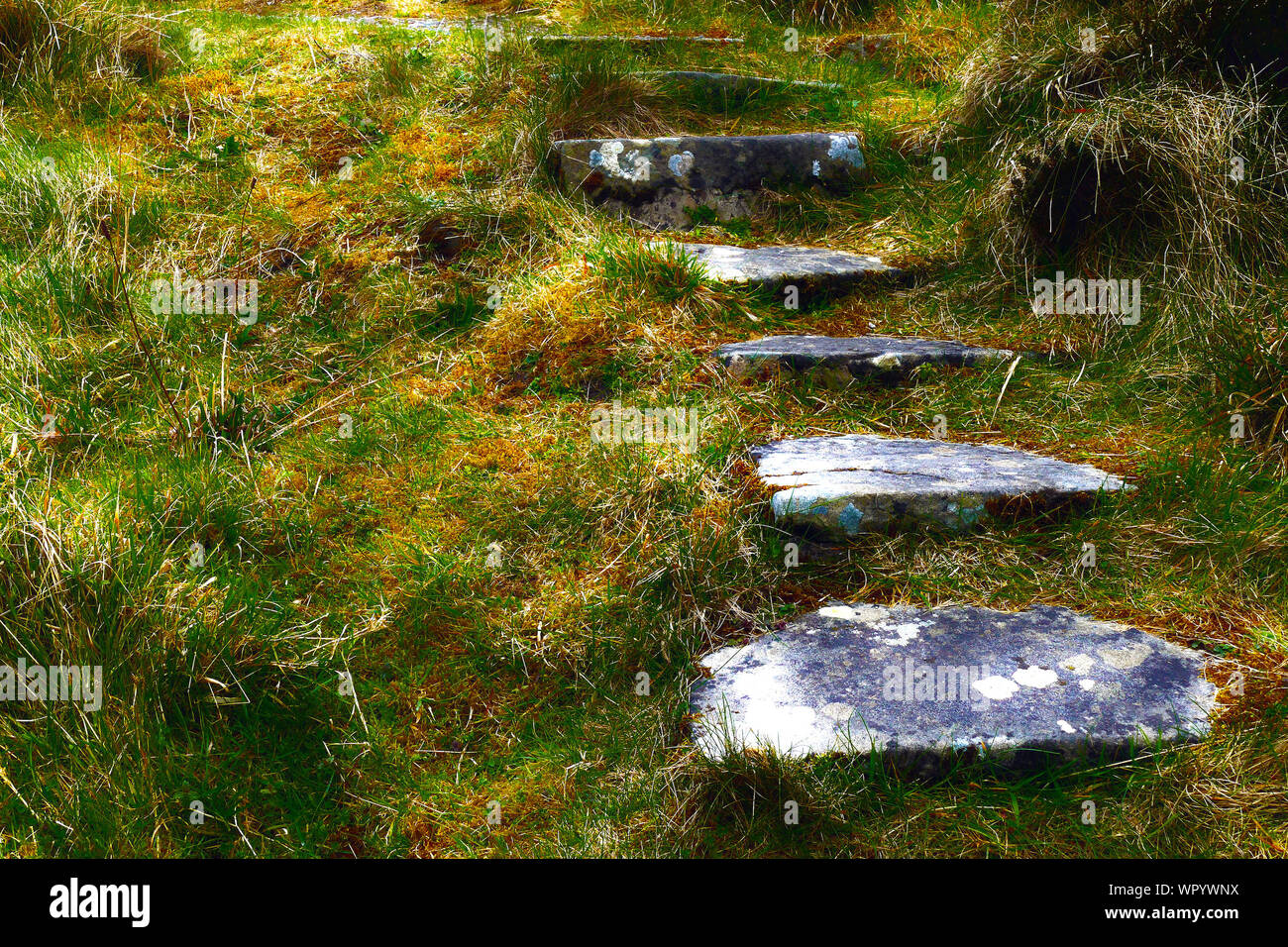 Stepping On Grass High Resolution Stock Photography and Images - Alamy