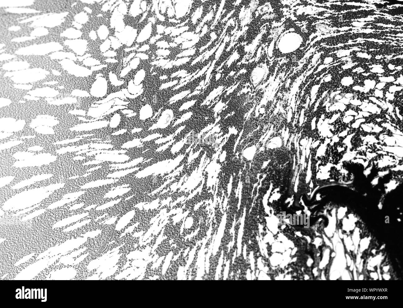 Abstract background. Monochrome texture. Image includes a effect the ...