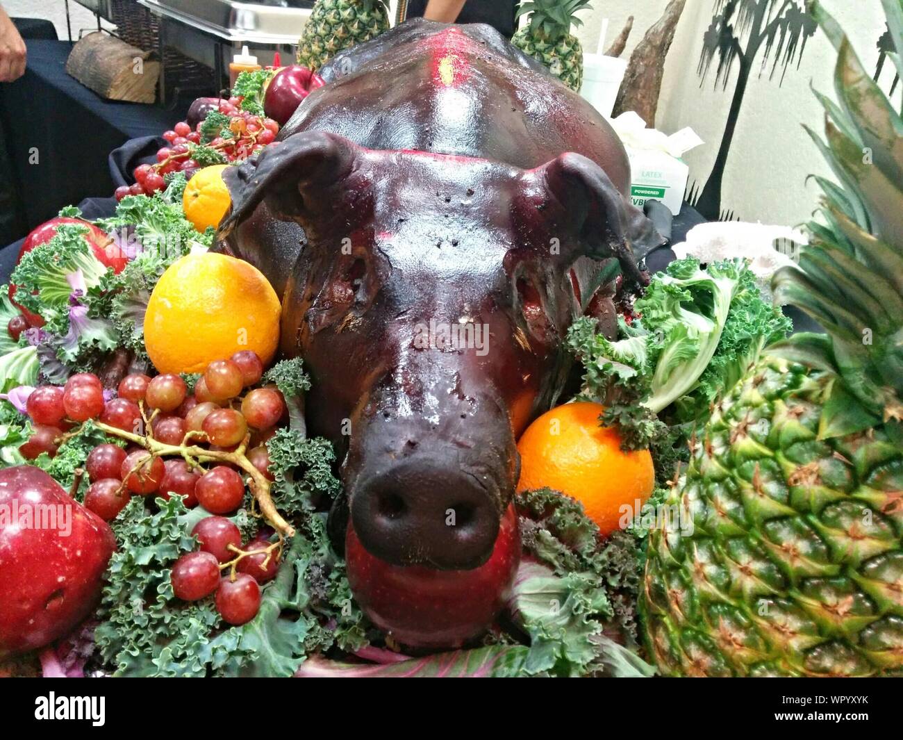 Pig shaped chocolate hi-res stock photography and images - Alamy