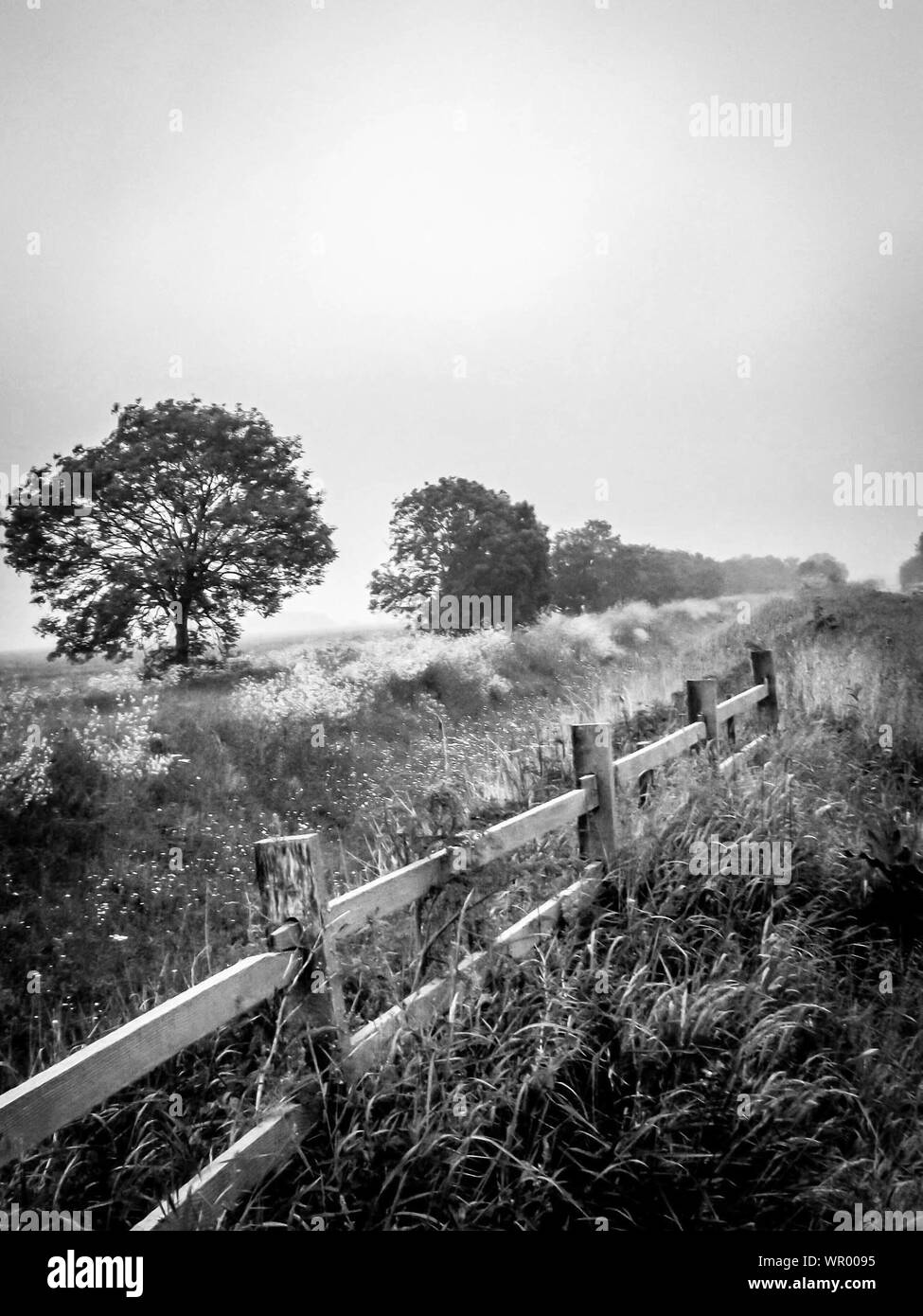 Gate in the landscape hi-res stock photography and images - Alamy