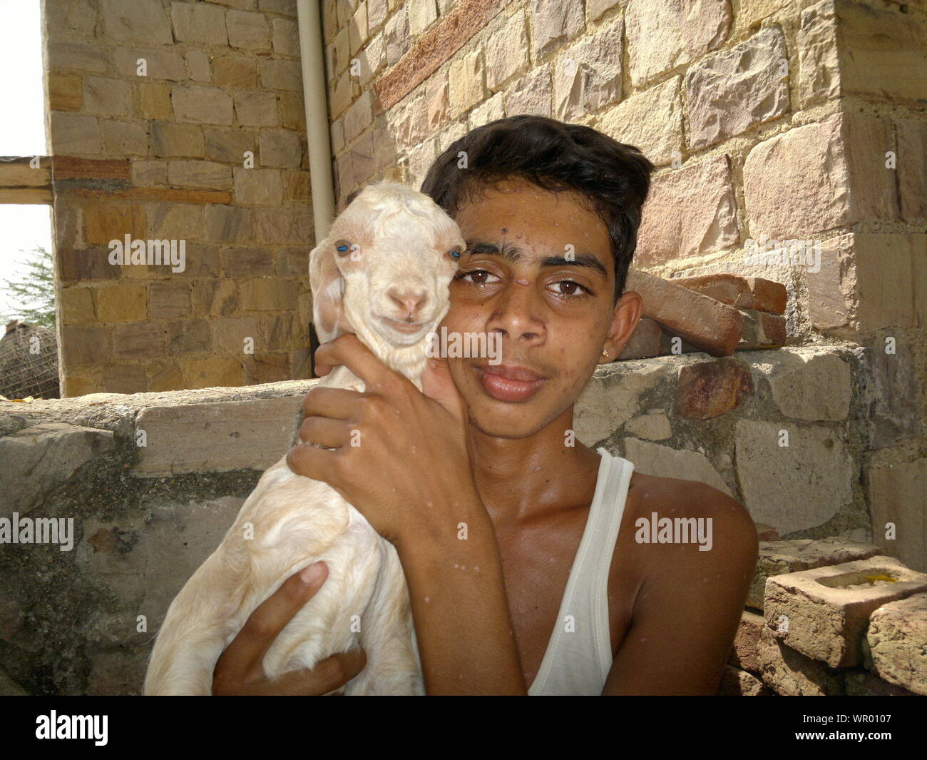 Person Holding Goat High Resolution Stock Photography and Images - Alamy