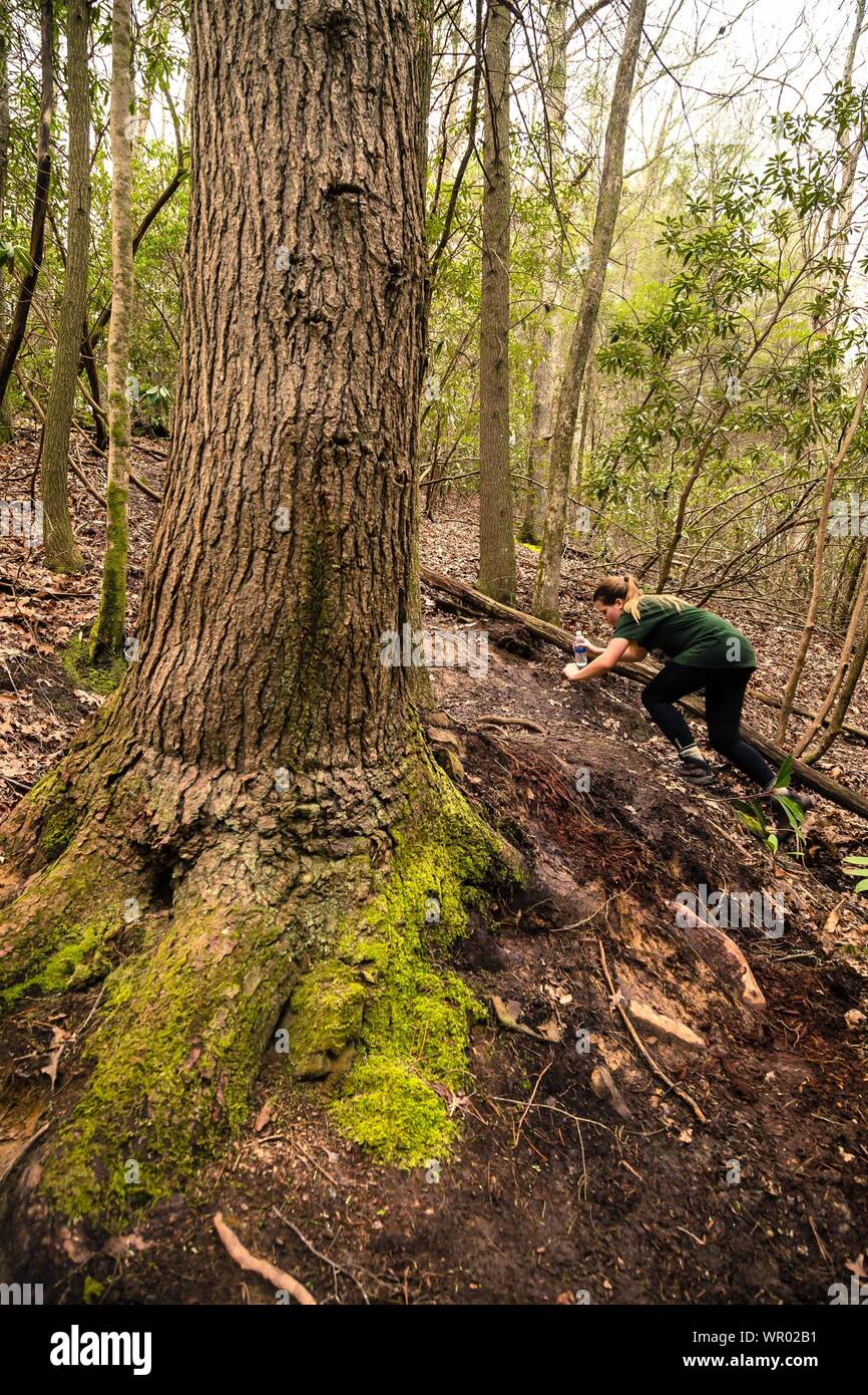 Clambering hi-res stock photography and images - Alamy