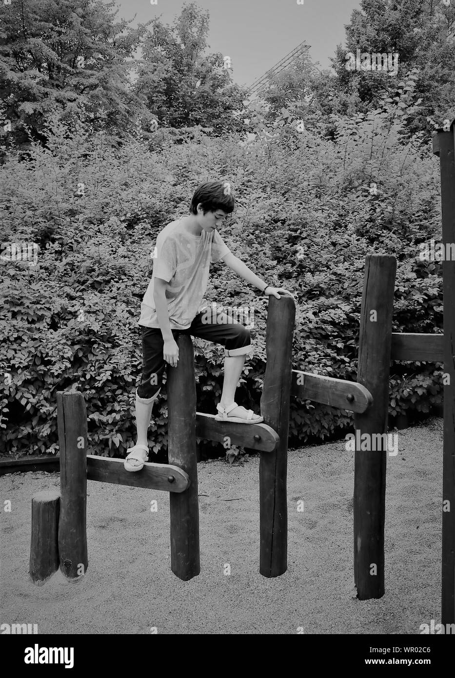 Climb Tree Clipart Black And White Sun