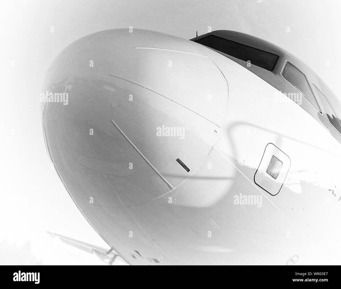 Detail nose hi-res stock photography and images - Alamy