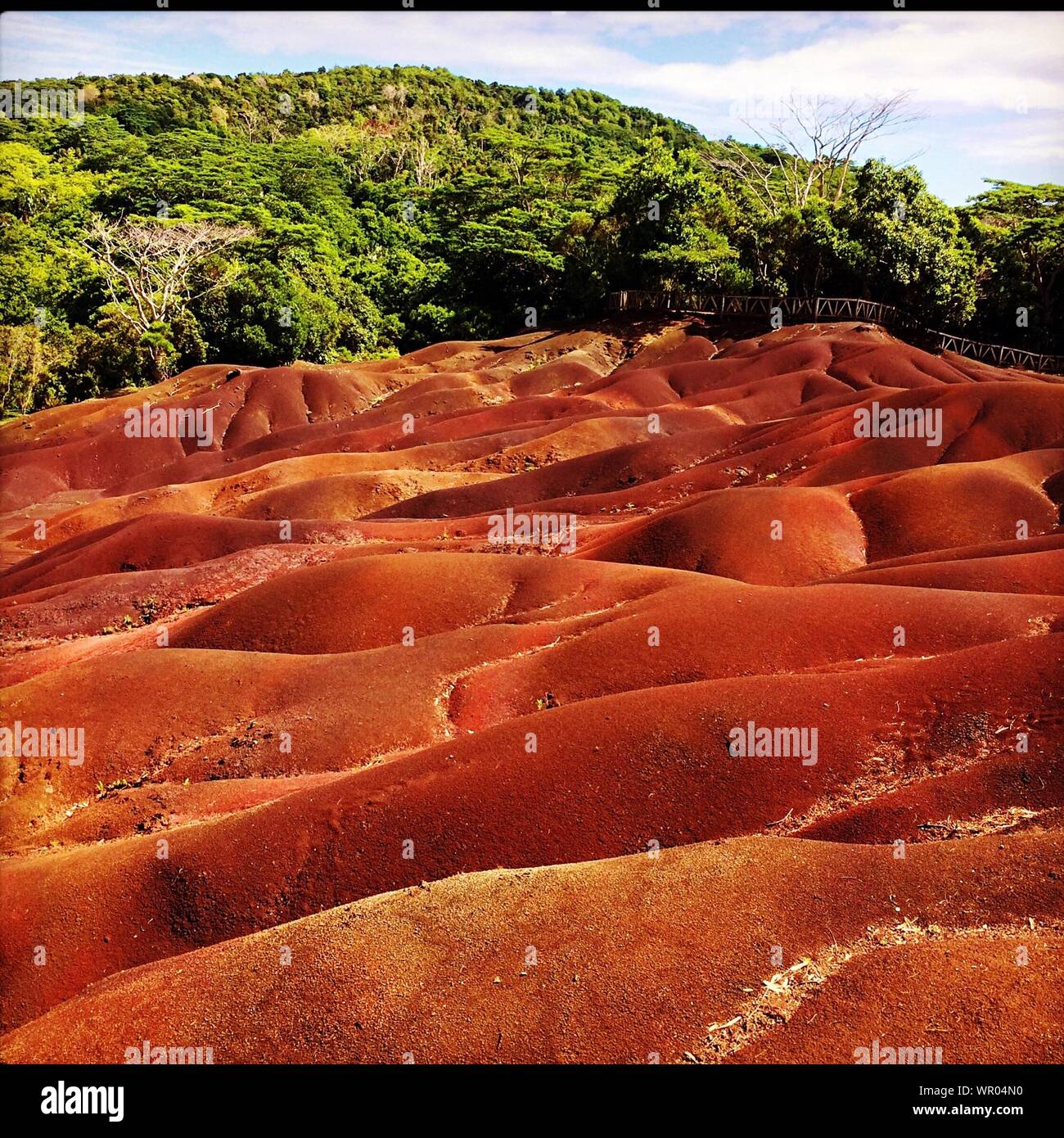Earths day hi-res stock photography and images - Alamy
