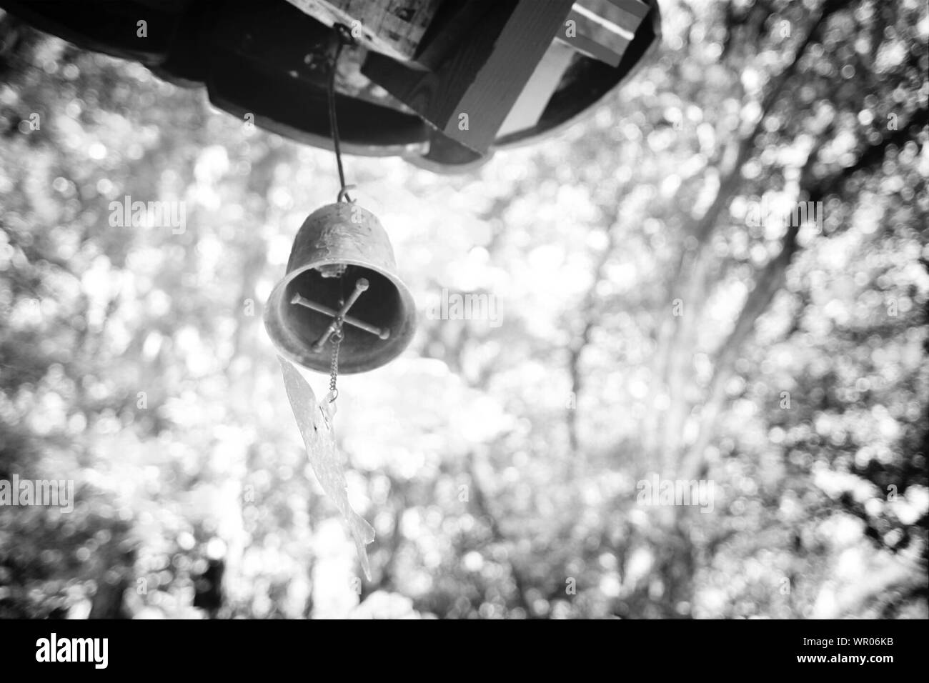 Bell tree hi-res stock photography and images - Alamy